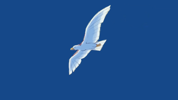 Seagull animation WIP