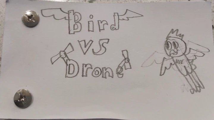 Bird vs Drone flipbook.