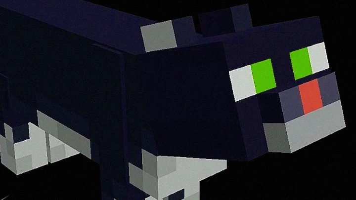 BLACKBOX [S1E2] | "Cat In The Void" | (Minecraft Machinima/Animation ...